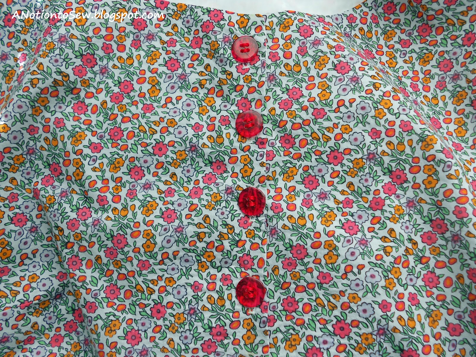 Simplicity 2215 – A Notion to Sew